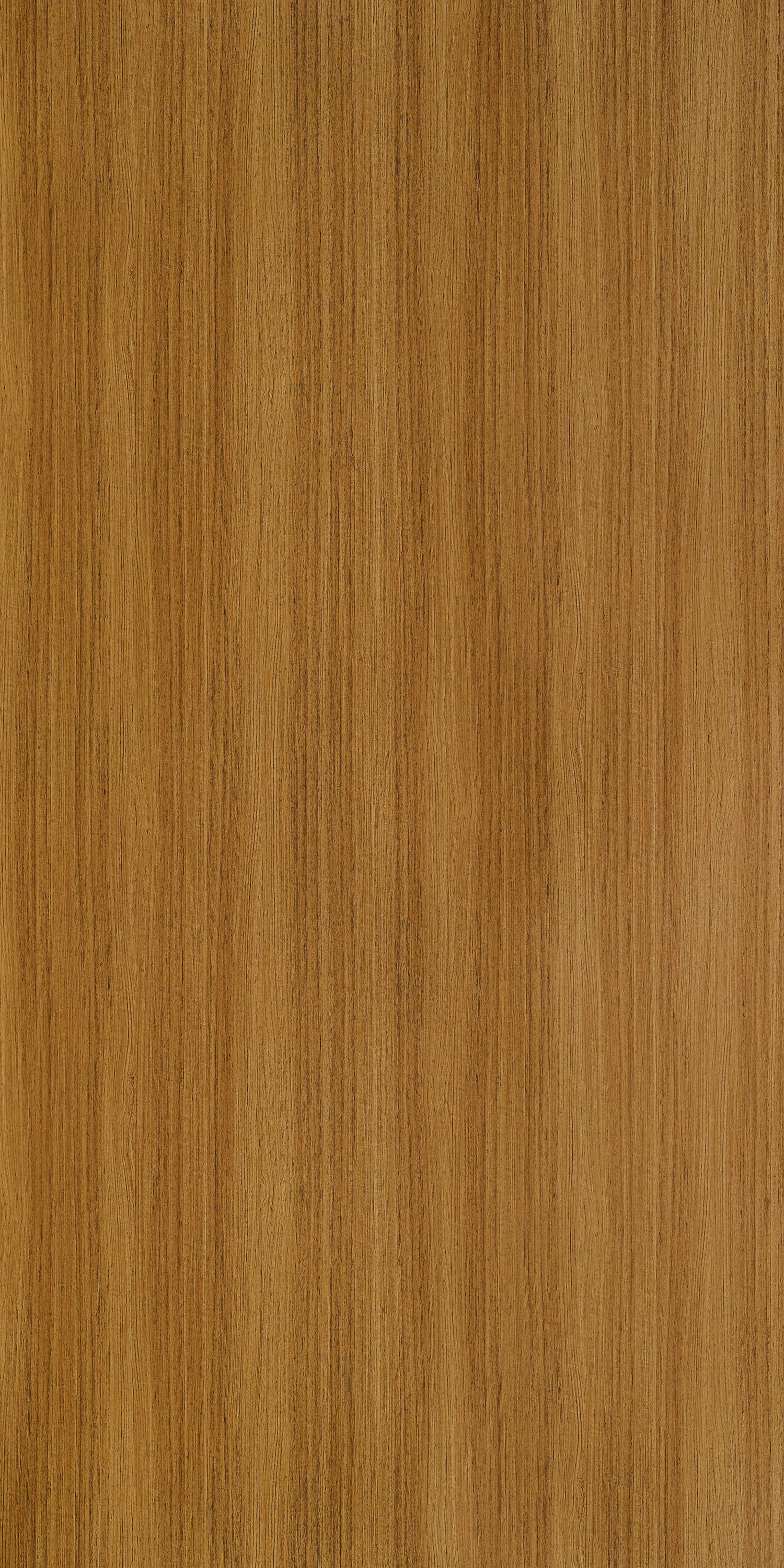 CenturyLaminates Starline Urban Teak 84447 SU Laminates | CenturyPly