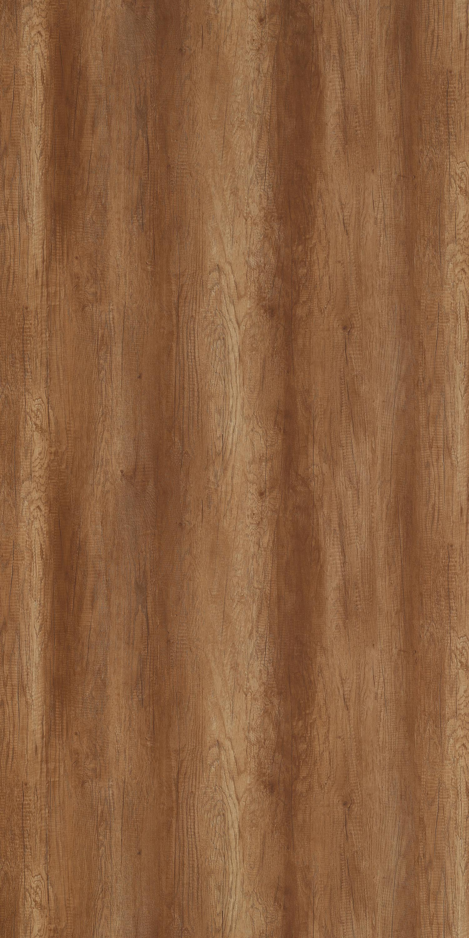 CenturyLaminates Starline Canyon Oak 84674 SU Laminates | CenturyPly