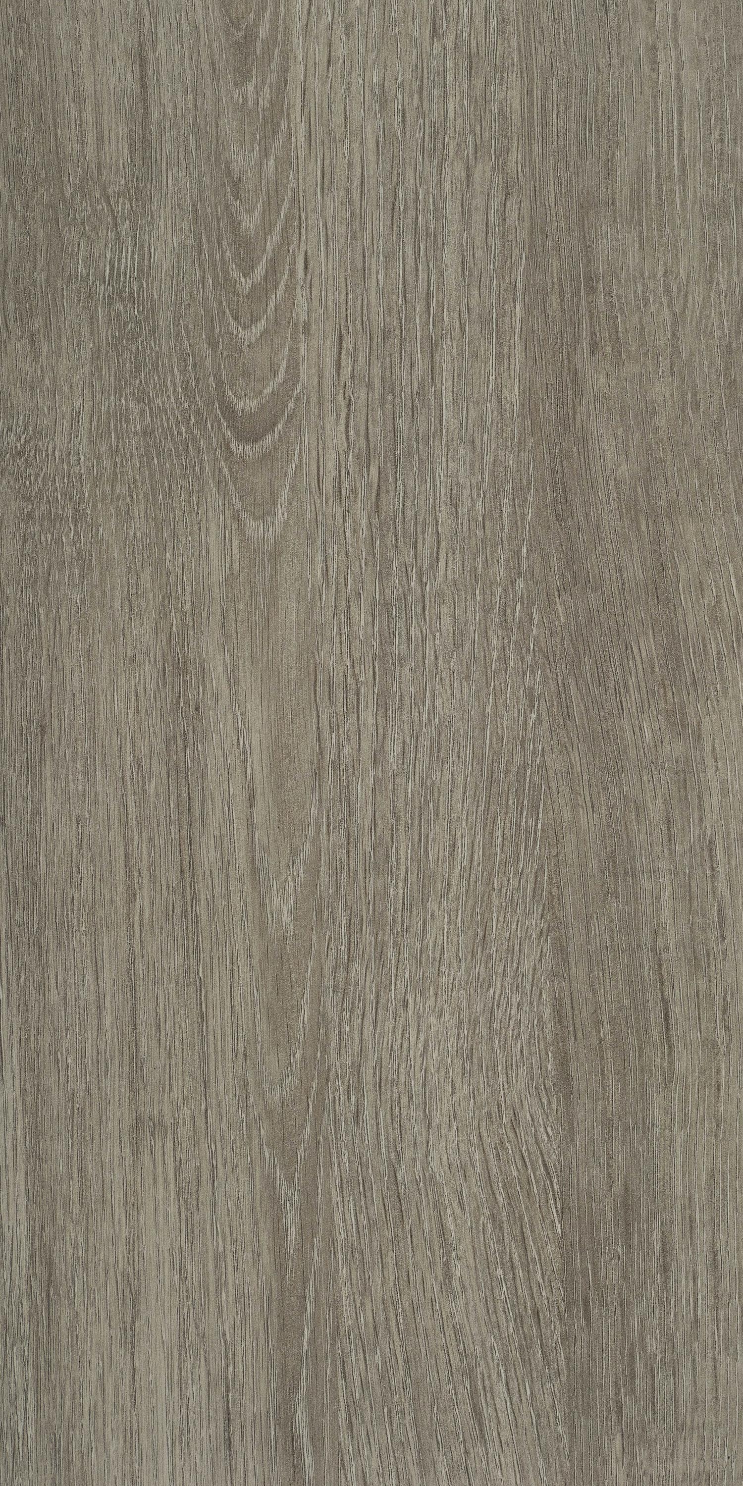 CenturyLaminates Starline Fleed Oak 84675 GL Laminates | CenturyPly