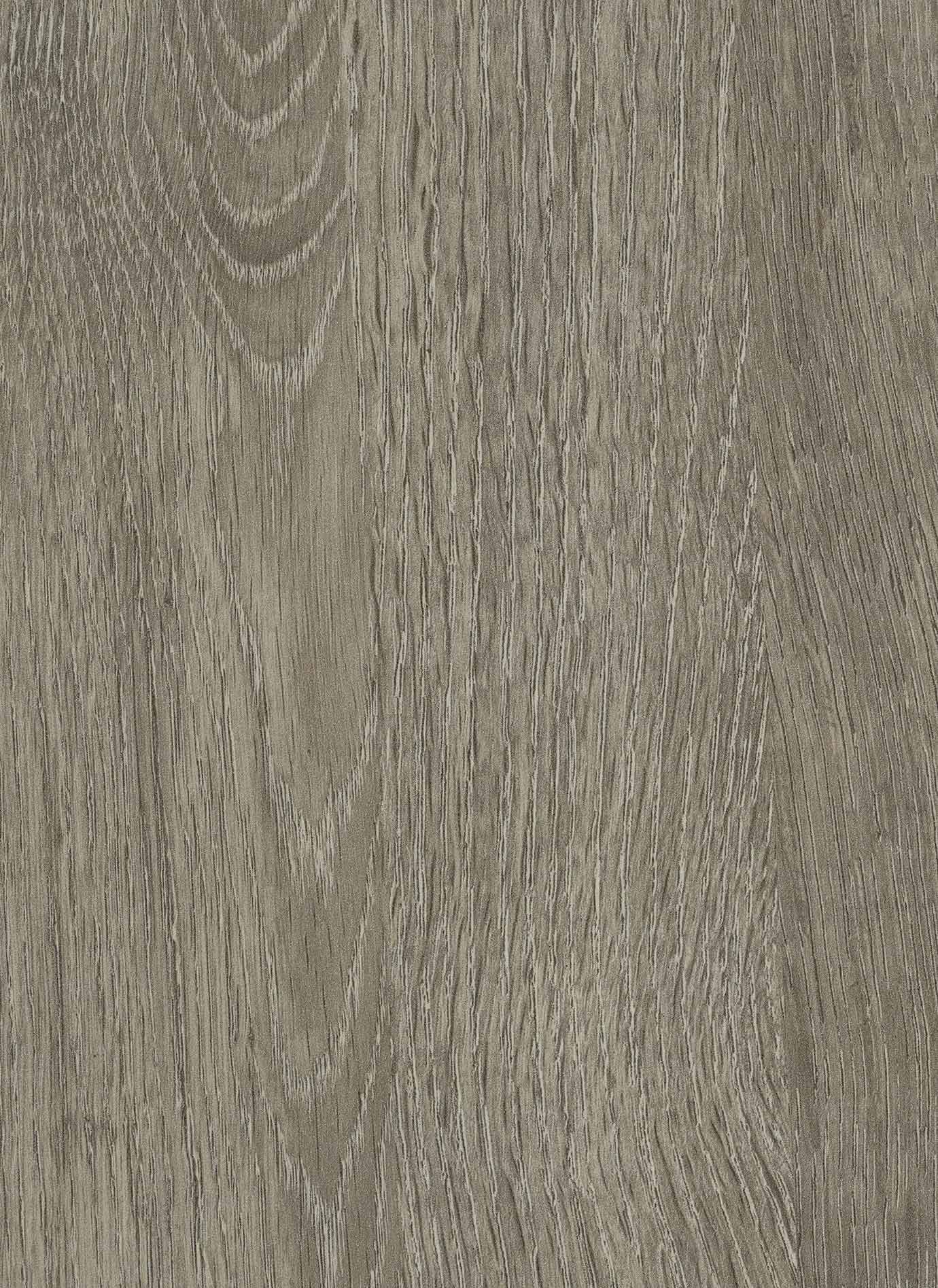 Laminates | Starline | Gloss | Woodgrains | Fleed Oak | 84675 GL
